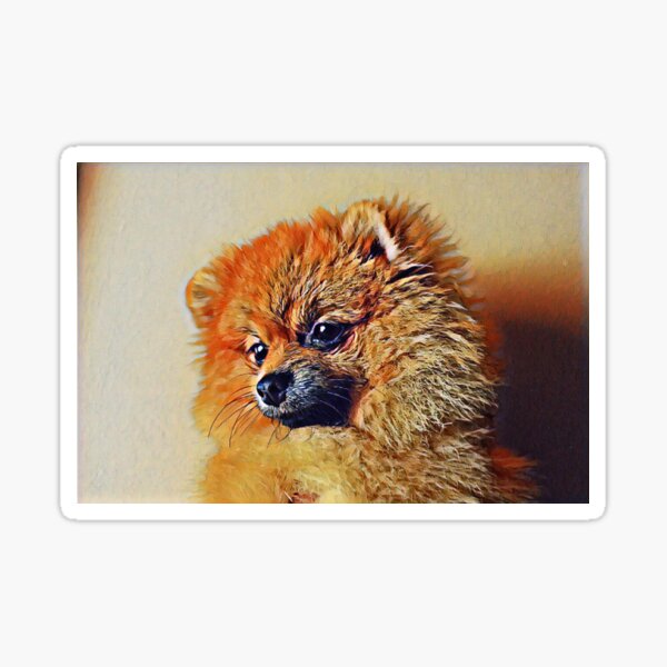"POMERANIAN PORTRAIT" Sticker for Sale by KatisDesign | Redbubble