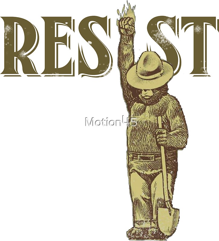 Smokey Bear Resist: Stickers | Redbubble