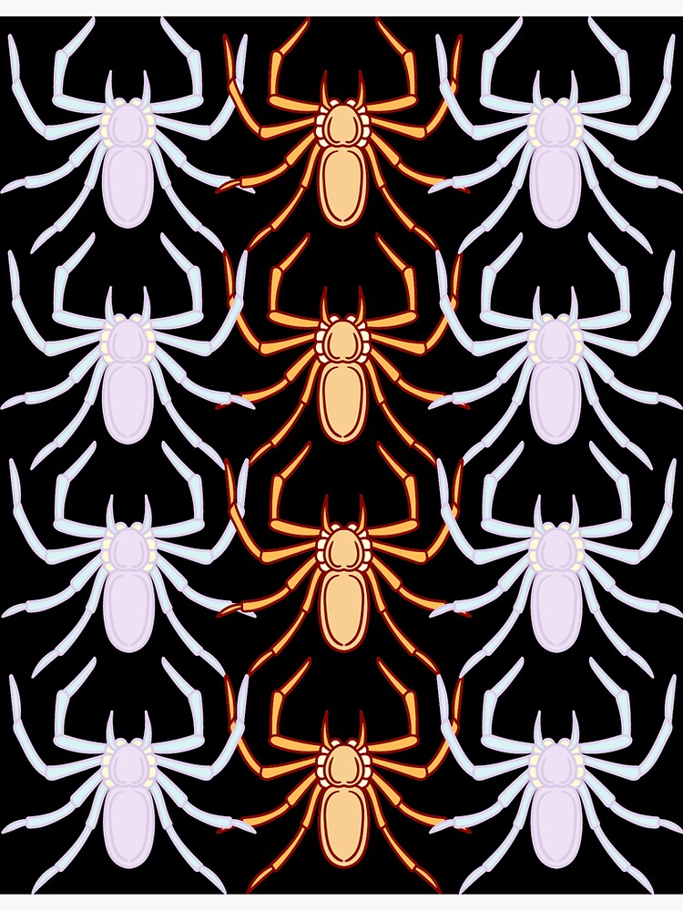 "scary spider " Sticker for Sale by MYWMC | Redbubble