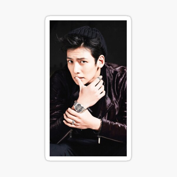"Ji Chang-wook" Sticker for Sale by WilliamGra | Redbubble