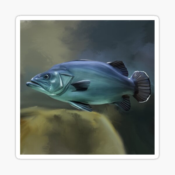 "Grouper Fish" Sticker for Sale by Shimmersnap | Redbubble