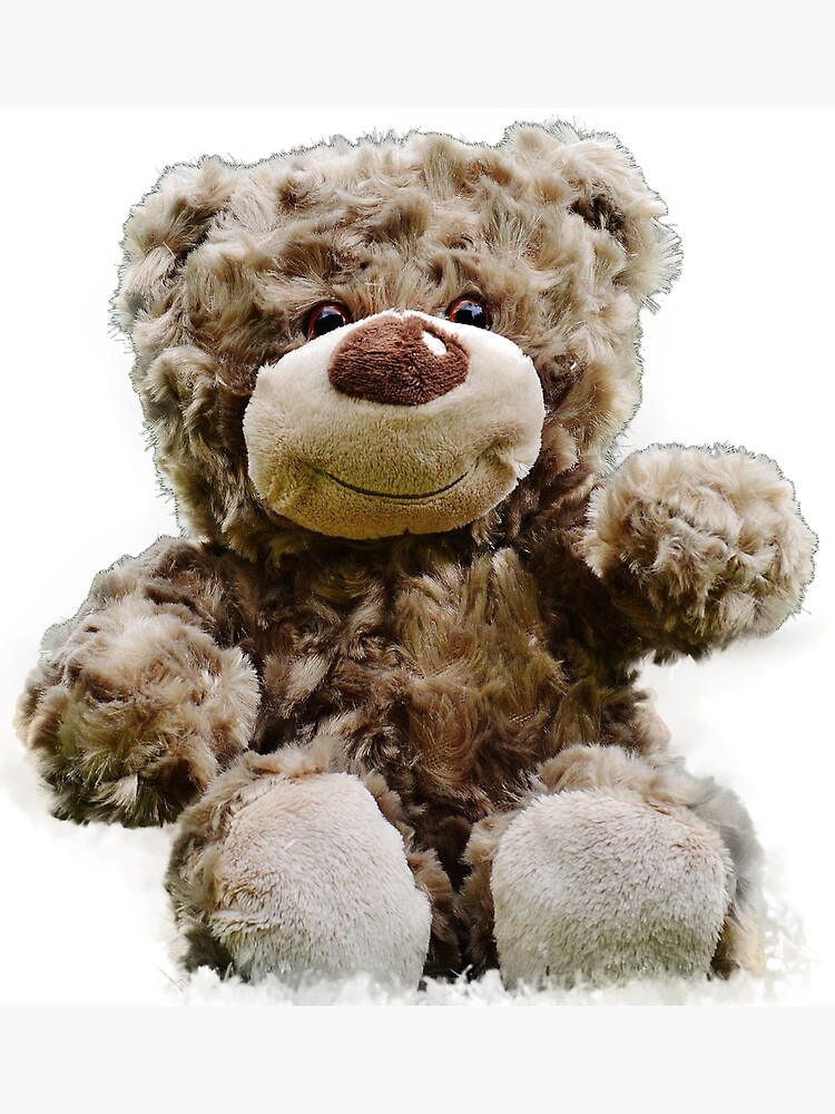 "Teddy The Fluffy Brown Bear" Poster for Sale by Hicham-Rzak | Redbubble