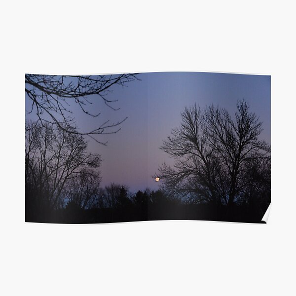 "Dawn" Poster for Sale by rayphotos | Redbubble
