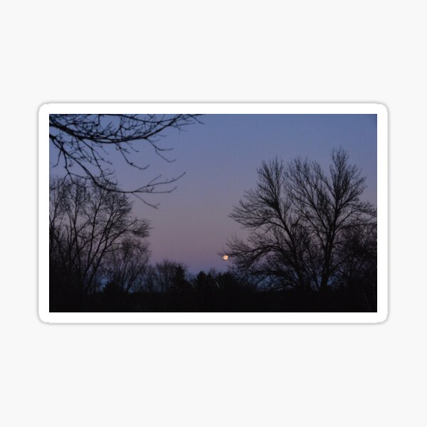 "Dawn" Sticker for Sale by rayphotos | Redbubble