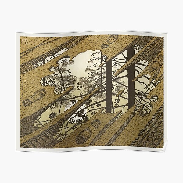 "M. C. ESCHER PUDDLE" Poster for Sale by lancegimen | Redbubble