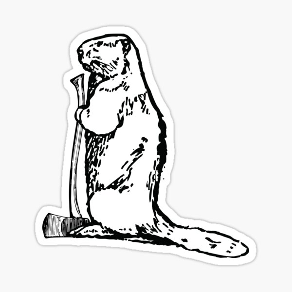 "Beaver Ingenuity" Sticker by bradyqk | Redbubble