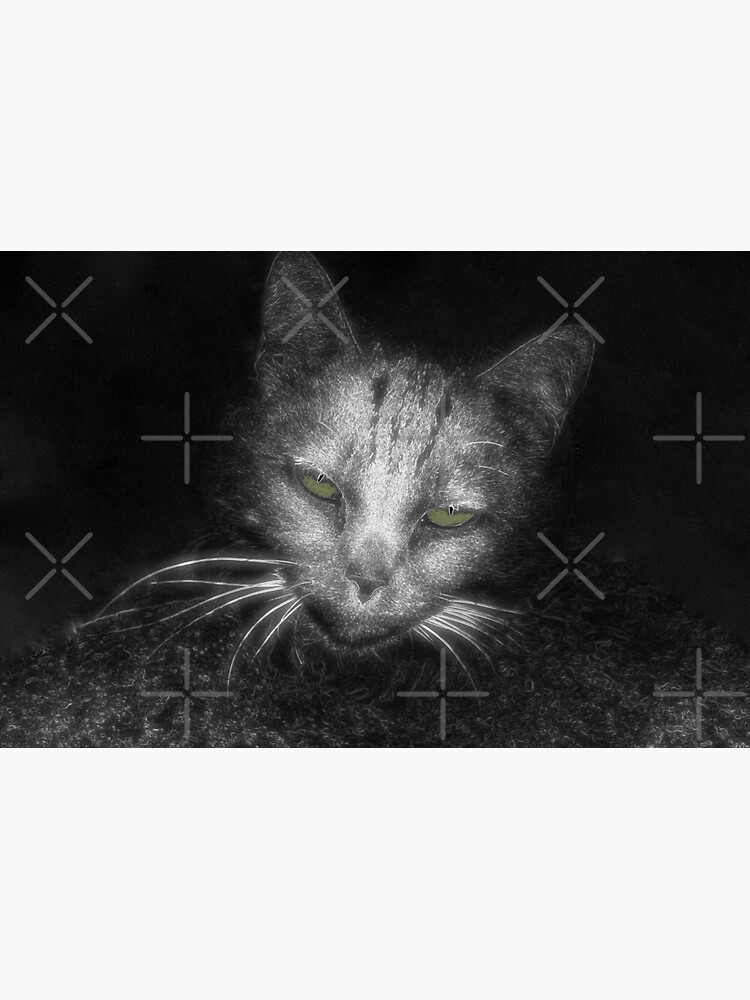 "dark cat" Sticker for Sale by Lartos | Redbubble