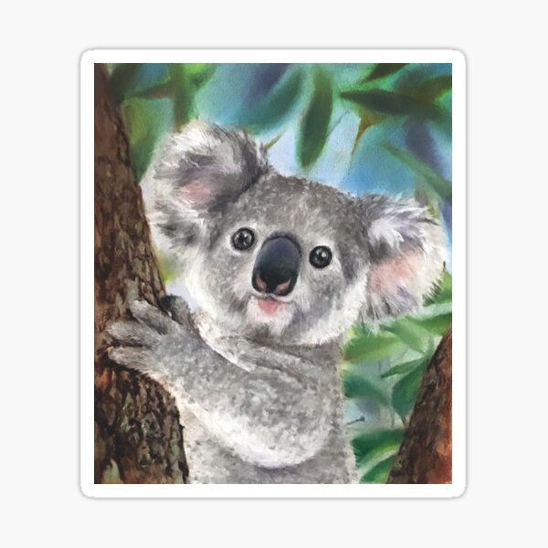 "Koala bear" Sticker for Sale by CanoaArt | Redbubble