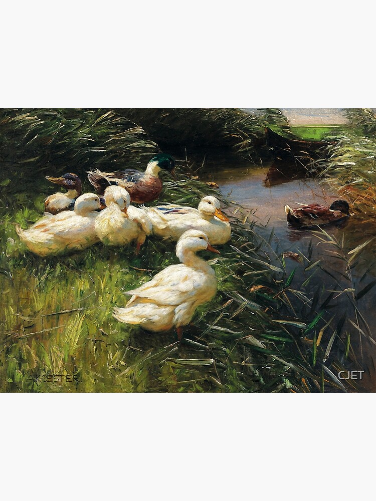 "Ducks on the Lakeside in Reeds with a Boat | Alexander Koester | 1930 ...