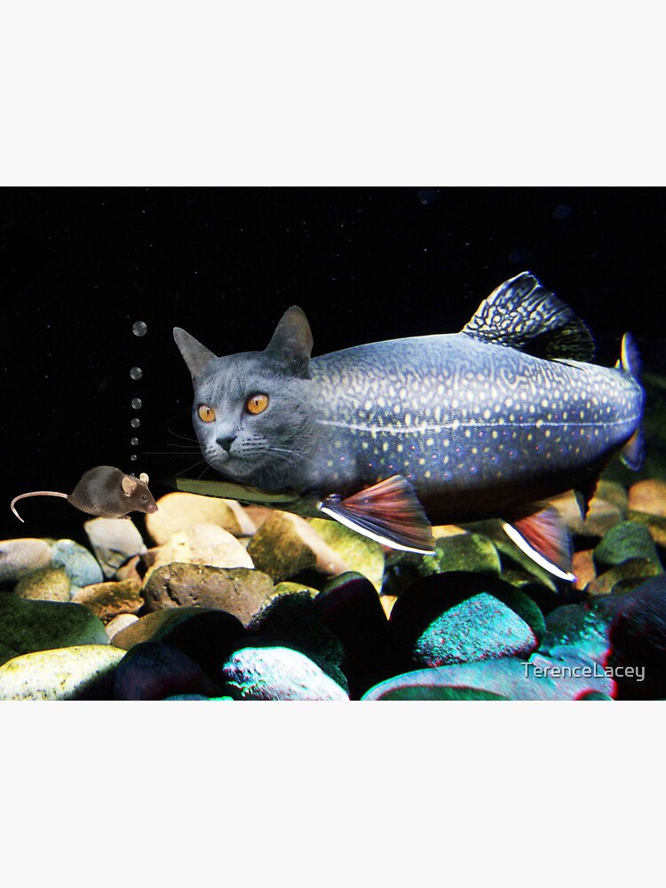"Catfish spots water mouse" Sticker for Sale by TerenceLacey | Redbubble