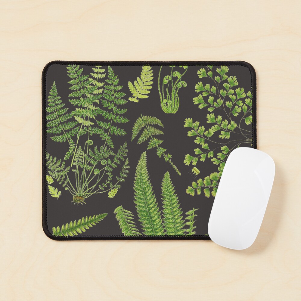 "Fern Chart study" Poster by LeAllureVintage | Redbubble