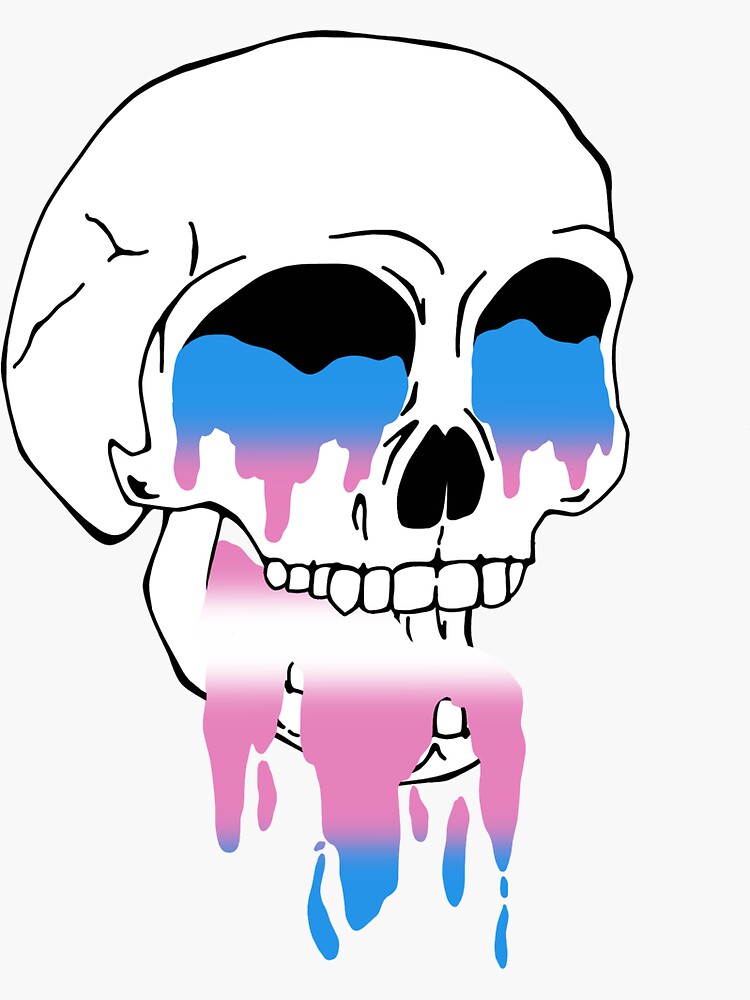 "Punk Meets Trans Pride" Sticker for Sale by StillaLady | Redbubble