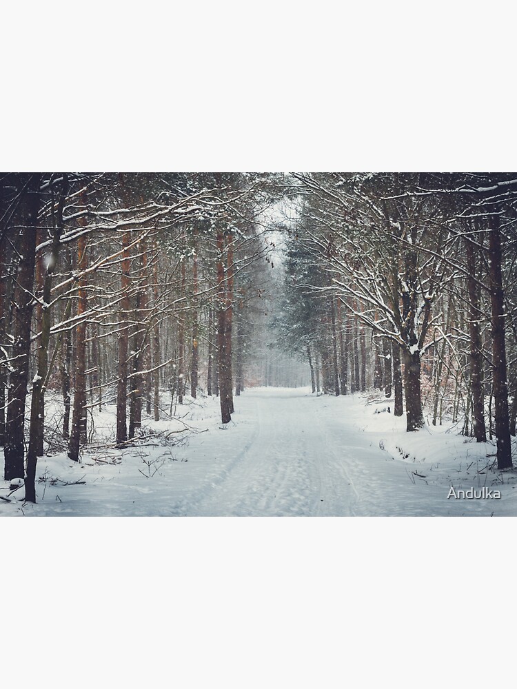 "Snowfall in winter forest" Sticker for Sale by Andulka | Redbubble