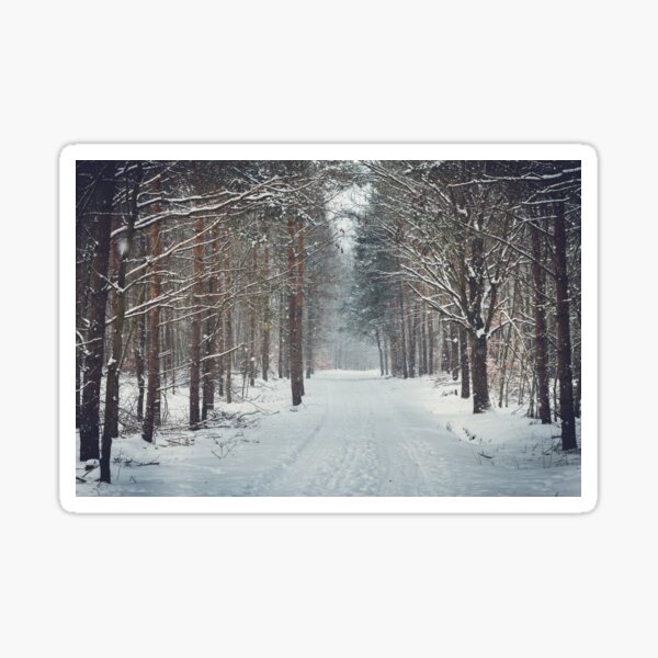 "Snowfall in winter forest" Sticker for Sale by Andulka | Redbubble