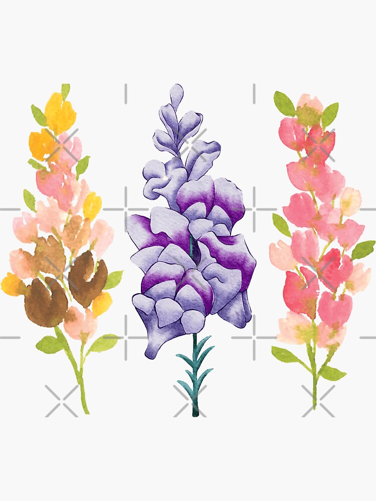 "Vintage Snapdragons " Sticker for Sale by Missmariaa | Redbubble