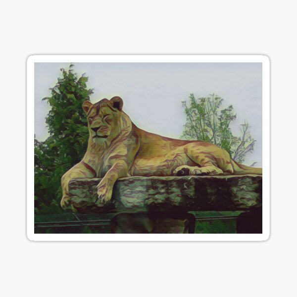 "Lioness" Sticker for Sale by Typical-Artist | Redbubble