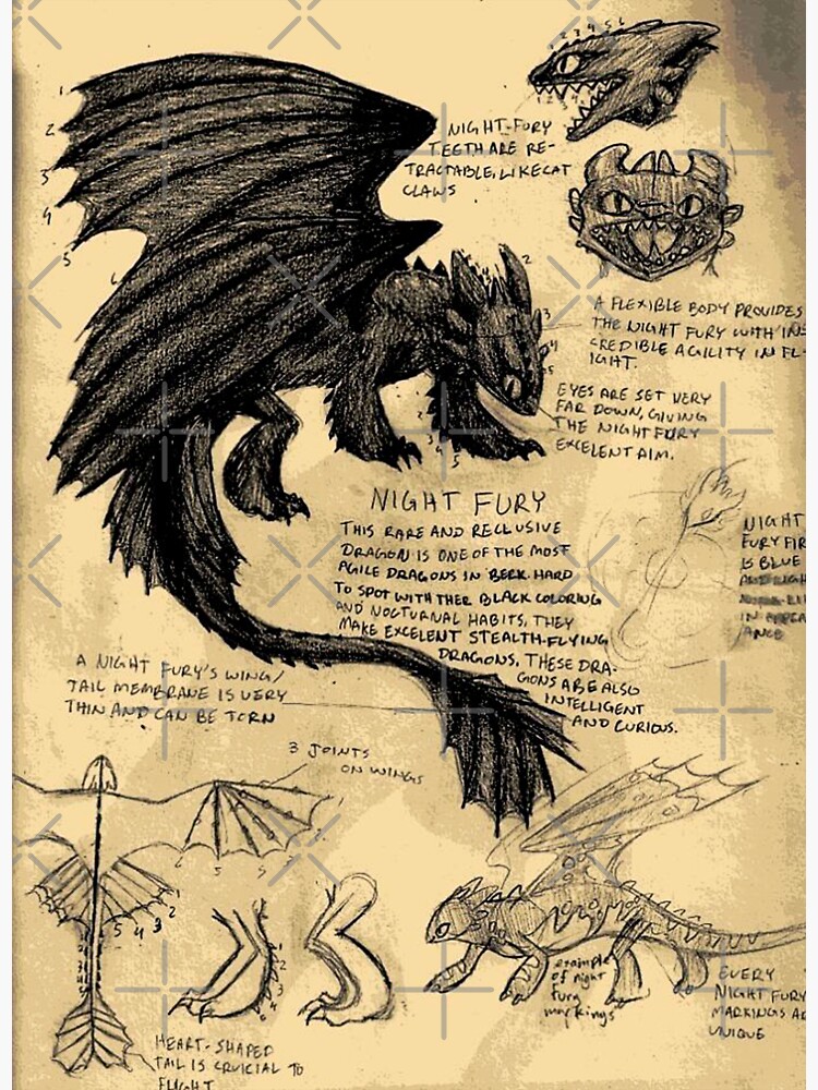 "night fury scriptures" Sticker for Sale by Star S2 Arts | Redbubble