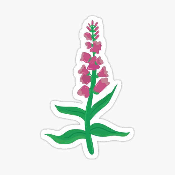 "vintage snapdragons" Sticker for Sale by elghachihades | Redbubble