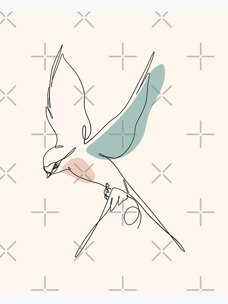"Flying Bird outline drawing - one line art" Poster for Sale by ...