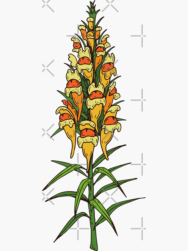 "vintage snapdragons" Sticker for Sale by elghachihades | Redbubble