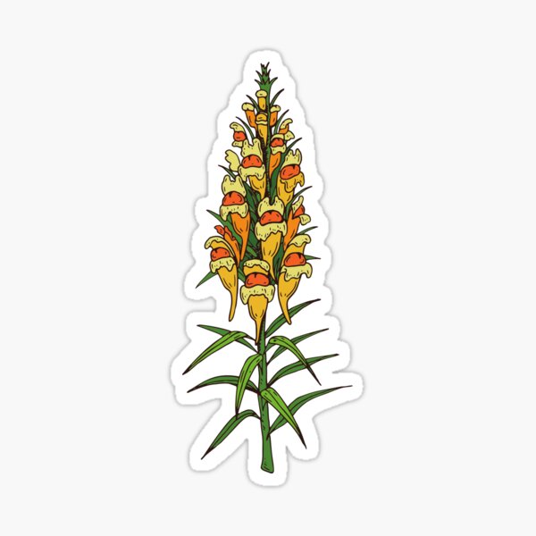 "vintage snapdragons" Sticker for Sale by elghachihades | Redbubble