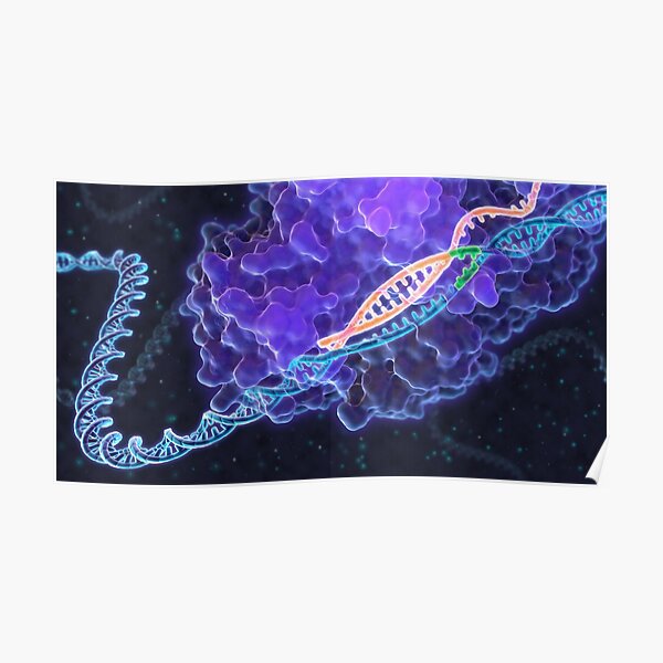 "CRISPR Genome Editing" Poster for Sale by ScienceSource | Redbubble
