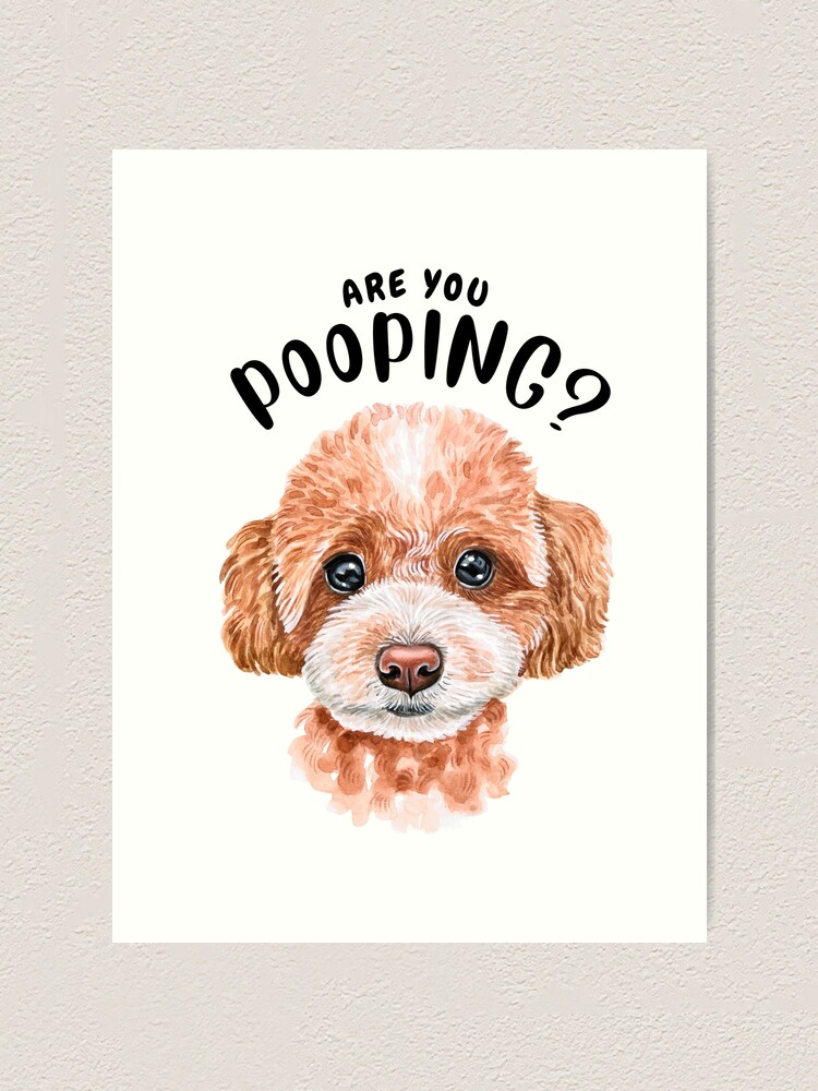 "Poodle Are You Pooping Bathroom Print | Poodle Art | Poodle Watercolor ...