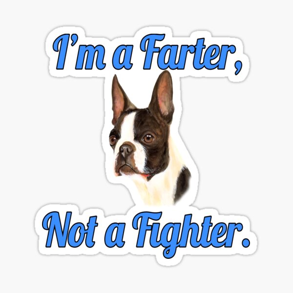 "Boston Terrier Dog I’m A Farter, Not A Fighter" Sticker for Sale by ...