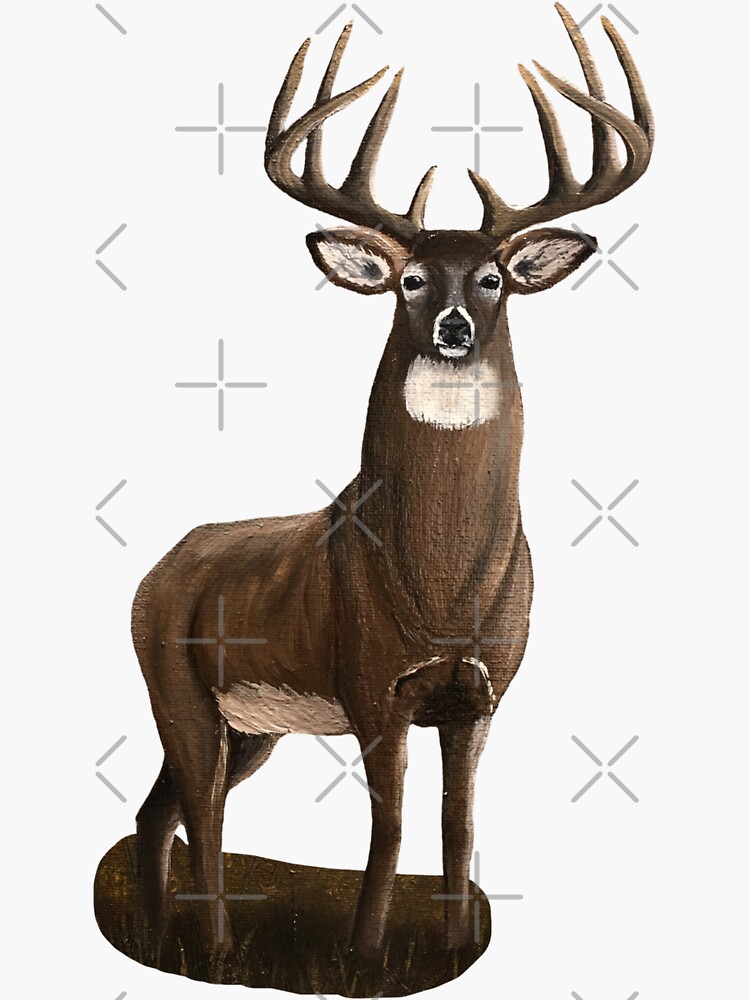"Whitetail Deer Graphic" Sticker for Sale by SistersInArtN | Redbubble