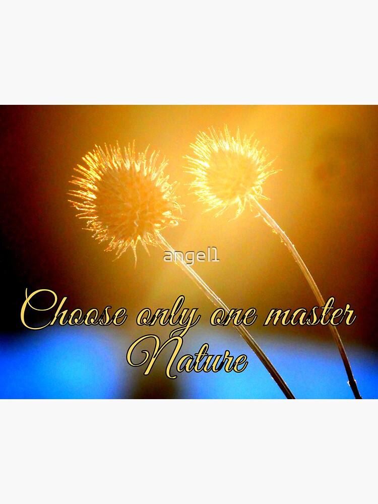"Choose only one master...Nature" Sticker for Sale by angel1 | Redbubble