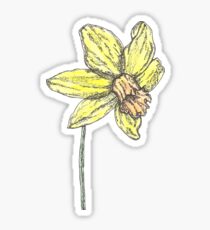 Daffodil Stickers | Redbubble