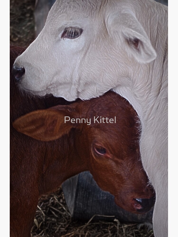 "Orphans" Sticker for Sale by kurrawinya | Redbubble