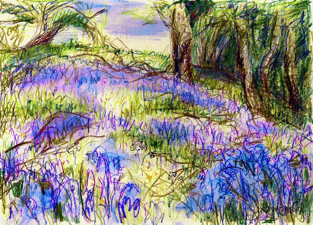 "Bluebells by Dolfor Rd, Pen & Pencil Artwork" by Linandara | Redbubble