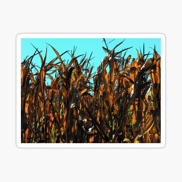 "As We Decay..Decay Away...The years of Decay" Sticker for Sale by ...