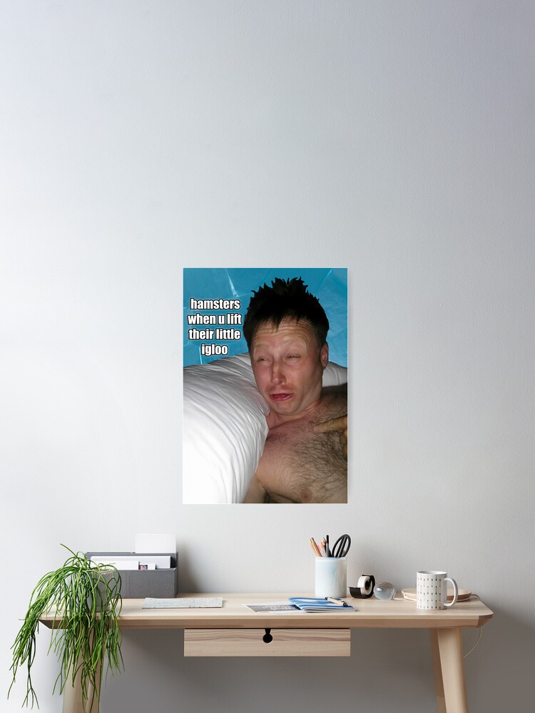 Póster for Sale con la obra «Limmy despertando chico Meme» de ...