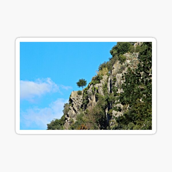 "Little Tree on the Slope of the Hill" Sticker for Sale by oknoki ...