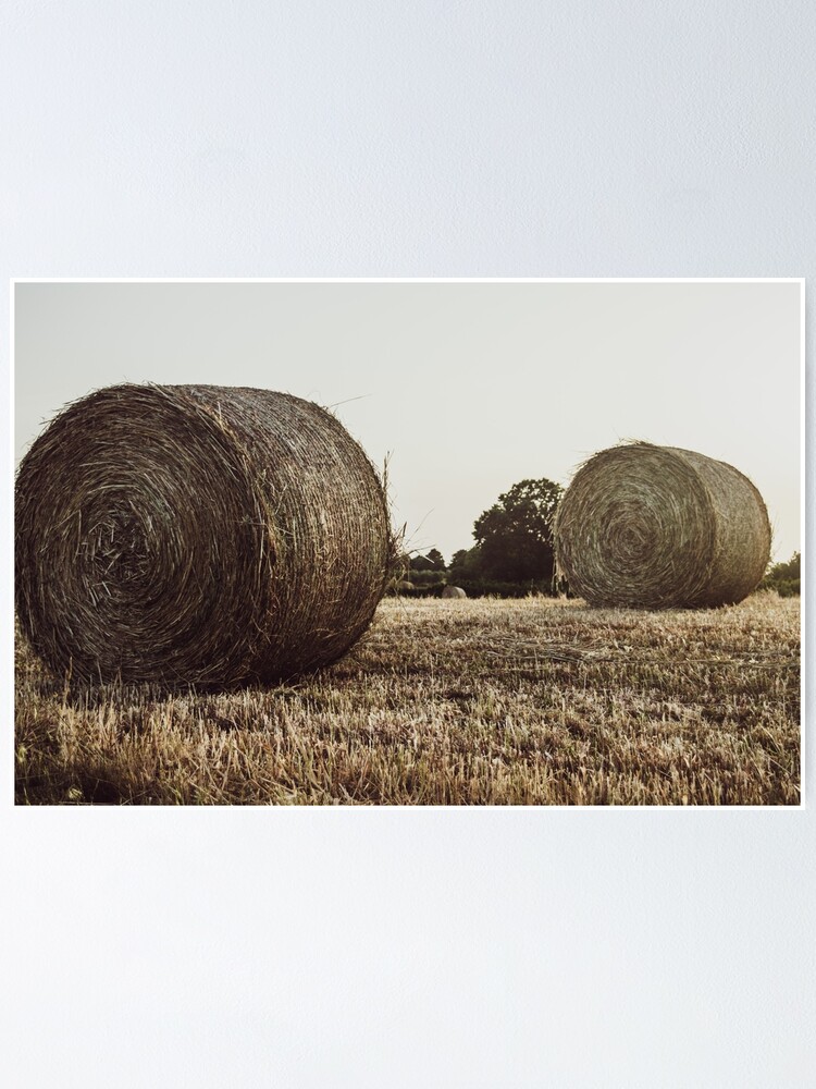 "Hay balee " Poster for Sale by murphy3art | Redbubble