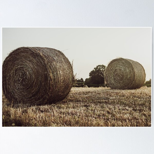 "Hay balee " Poster for Sale by murphy3art | Redbubble