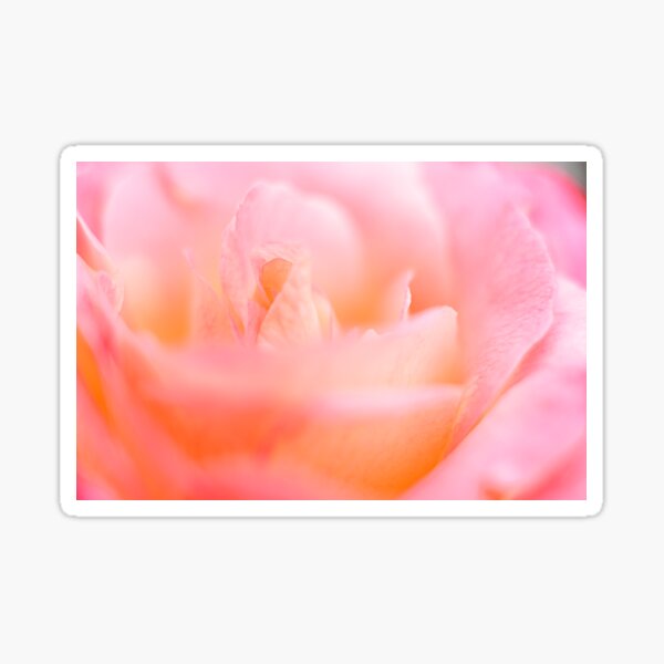 "_SSK9173 I Am Tender. " Sticker for Sale by SSK11101957 | Redbubble