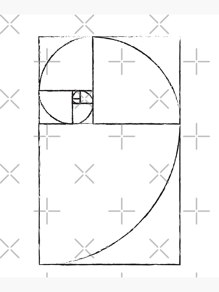 Golden Ratio Spiral Fibonacci Sequence Sketch Poster For Sale By Ghost888 Redbubble