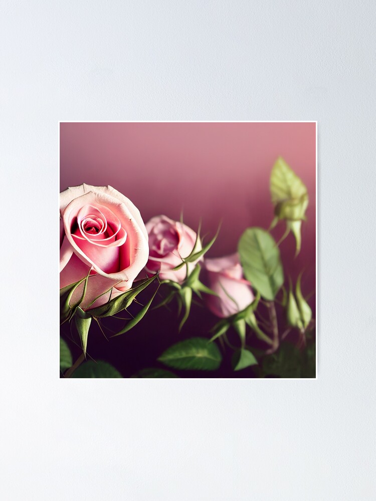 "Pink Rose" Poster for Sale by ladarkepoque | Redbubble