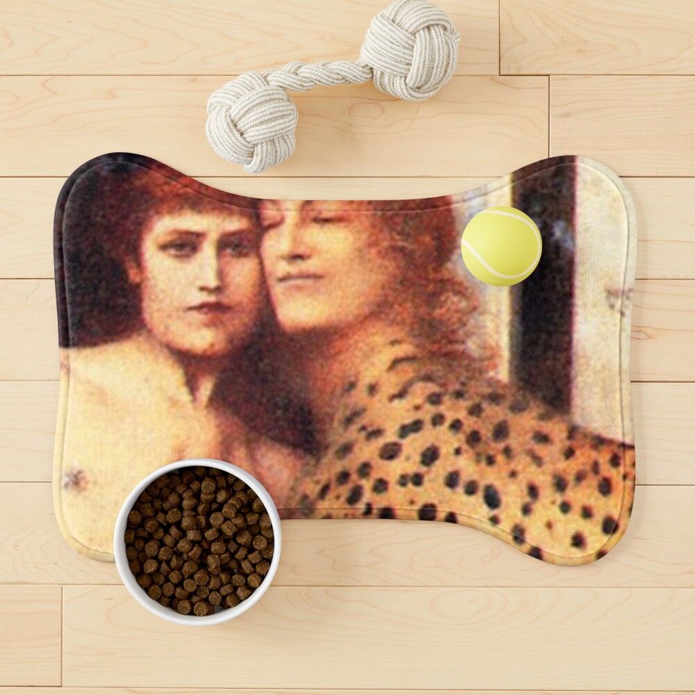 "The Caresses, 1896 by Fernand Khnopff - Sphinx Symbolism art" Poster ...