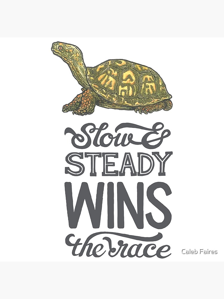 "Slow & Steady Wins the Race" Poster for Sale by calebfaires | Redbubble