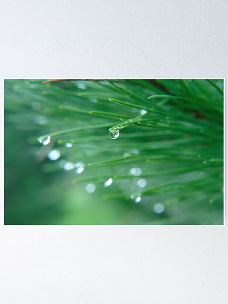 "raindrop" Poster by metriognome | Redbubble