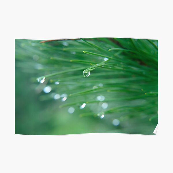 "raindrop" Poster by metriognome | Redbubble