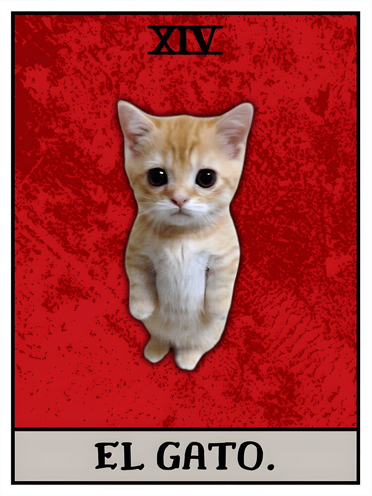 "El Gato Tarot Card Sad Crying Kitten Meme Classic " Sticker for Sale ...