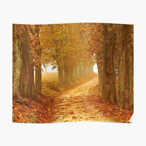 "Autumn forest" Poster for Sale by Krishnaviart | Redbubble