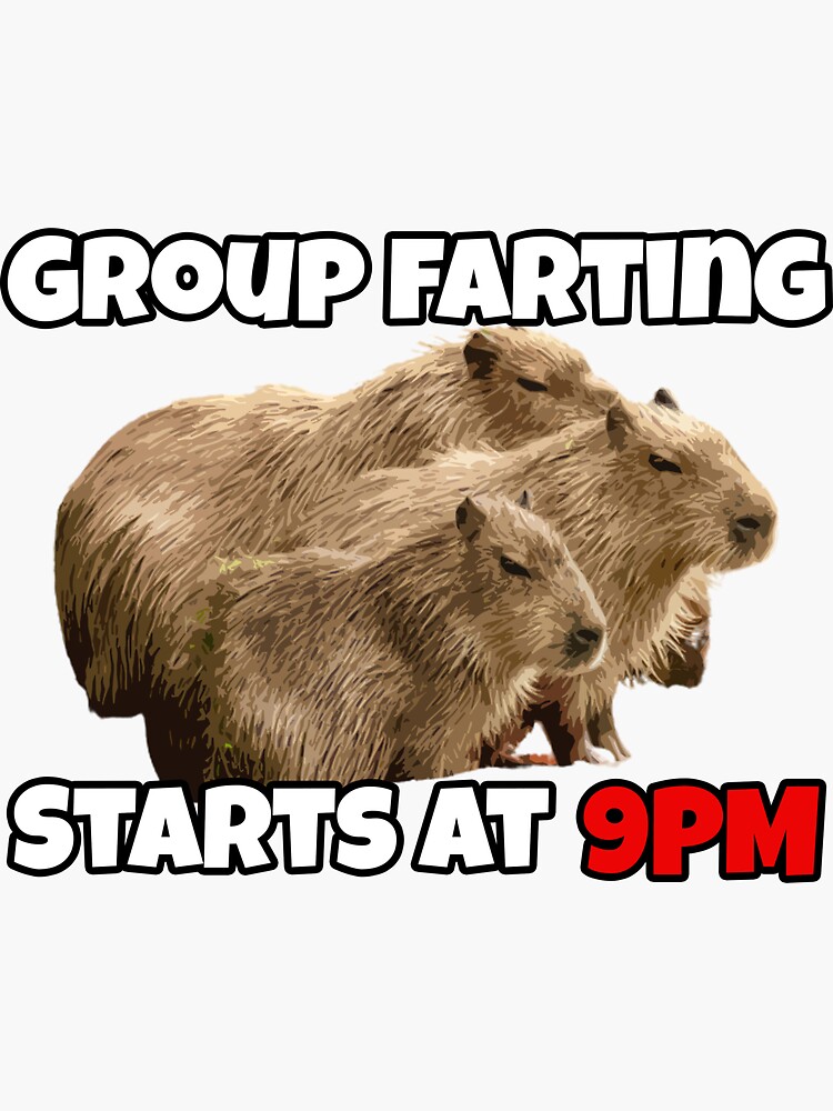 "Group Farting Starts at 9PM - Funny Capybara Capy Meme" Sticker for ...