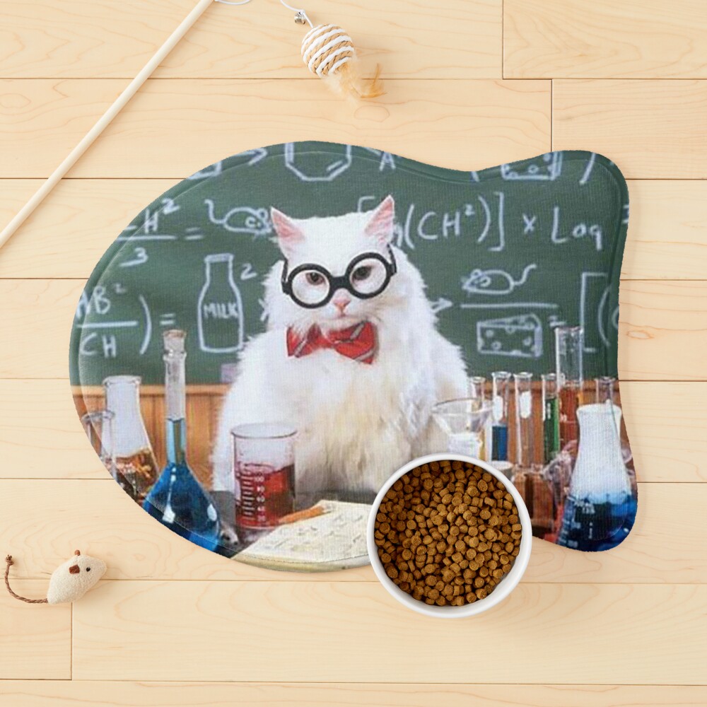 "Chemistry Cat" Poster for Sale by Meme Economy | Redbubble