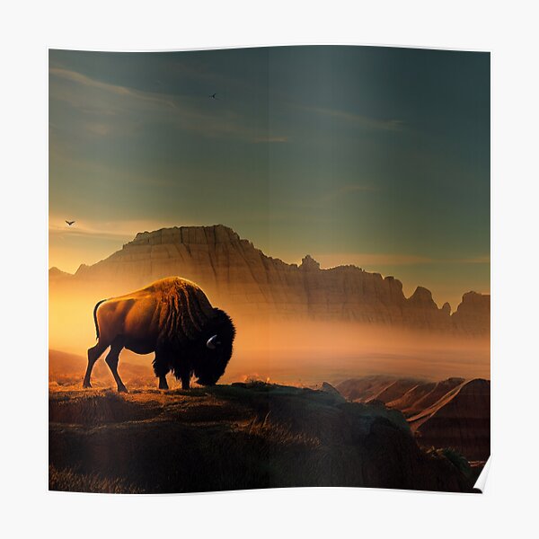 "Buffalo " Poster for Sale by vivekadarshana | Redbubble